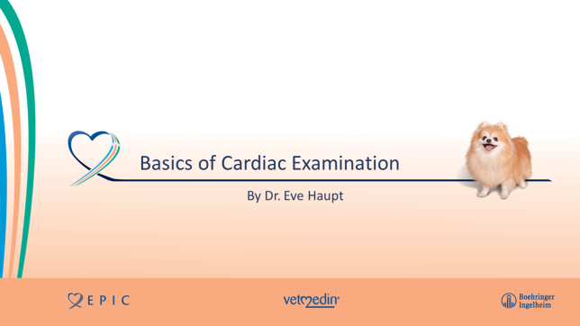 Fundamentals in Cardiology